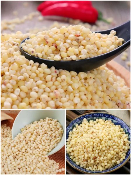 高粱米煮多久能熟_高粱米怎么煮才软烂-第3张图片-山城妙识 高粱米煮多久能熟_高粱米怎么煮才软烂-第3张图片-山城妙识