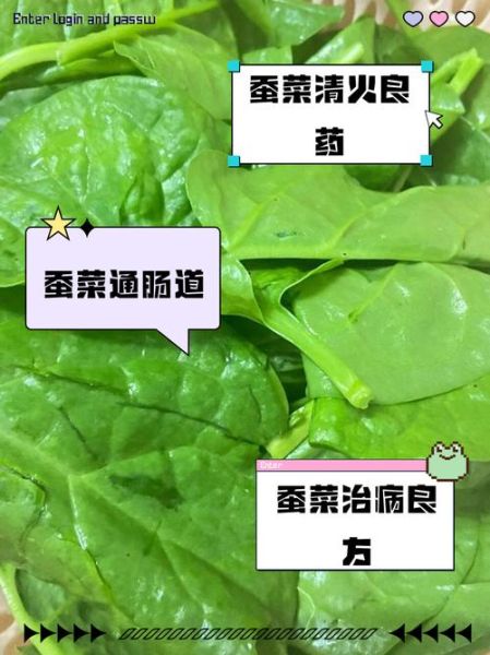 蚕菜是什么菜_蚕菜怎么吃最好吃-第1张图片-山城妙识 蚕菜是什么菜_蚕菜怎么吃最好吃-第1张图片-山城妙识