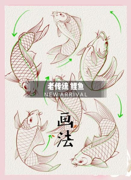 鲤鱼图片手绘_怎么画才生动-第2张图片-山城妙识