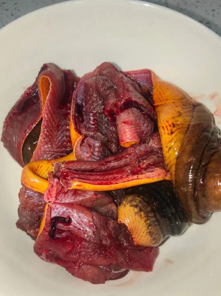 黄鳝血怎么吃最有营养_黄鳝血的功效与做法-第1张图片-山城妙识