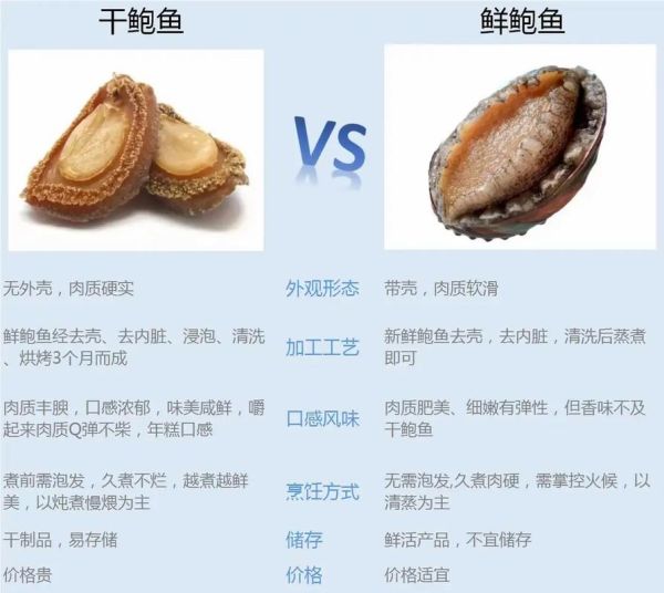 鲍鱼多少钱一只_鲍鱼价格为什么差异大-第3张图片-山城妙识