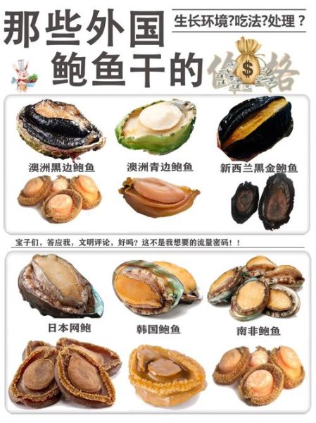 鲍鱼多少钱一只_鲍鱼价格为什么差异大-第2张图片-山城妙识