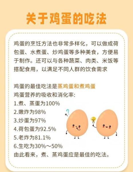 鸡蛋的营养价值及功效与作用禁忌_吃鸡蛋会上火吗-第1张图片-山城妙识 鸡蛋的营养价值及功效与作用禁忌_吃鸡蛋会上火吗-第1张图片-山城妙识