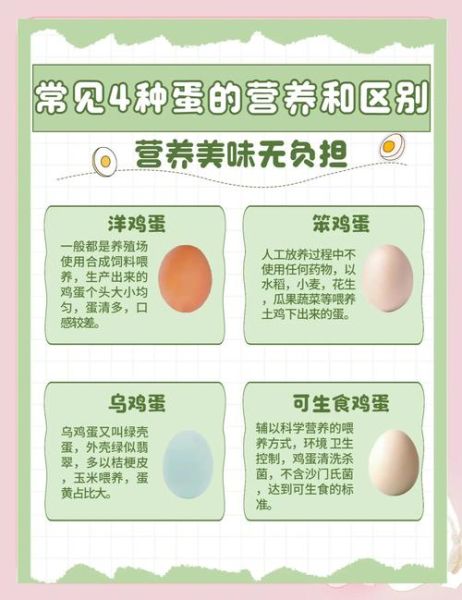 鸡蛋的营养价值及功效与作用禁忌_吃鸡蛋会上火吗-第2张图片-山城妙识 鸡蛋的营养价值及功效与作用禁忌_吃鸡蛋会上火吗-第2张图片-山城妙识