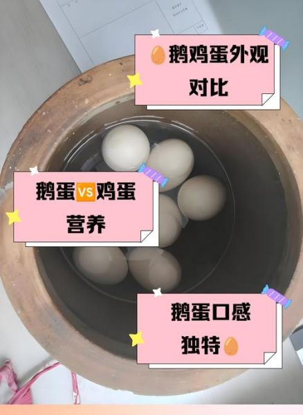 鹅蛋图片大全大图_鹅蛋和鸡蛋营养区别-第2张图片-山城妙识 鹅蛋图片大全大图_鹅蛋和鸡蛋营养区别-第2张图片-山城妙识