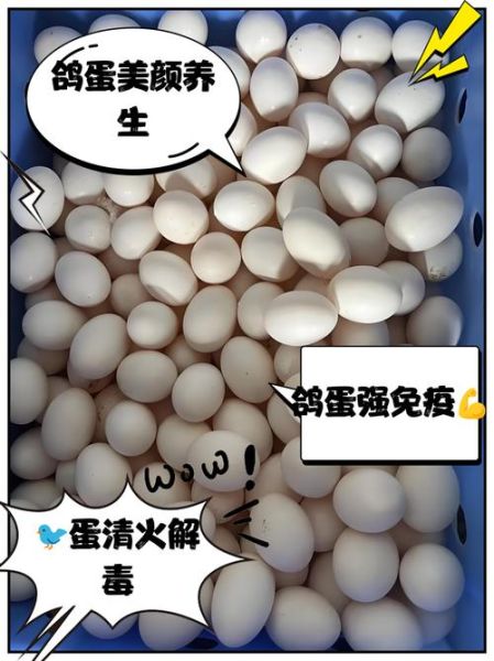 鸽子蛋怎么做好吃_鸽子蛋的营养价值-第3张图片-山城妙识 鸽子蛋怎么做好吃_鸽子蛋的营养价值-第3张图片-山城妙识