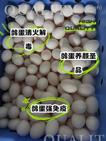 鸽子蛋怎么做好吃_鸽子蛋的营养价值-第2张图片-山城妙识 鸽子蛋怎么做好吃_鸽子蛋的营养价值-第2张图片-山城妙识