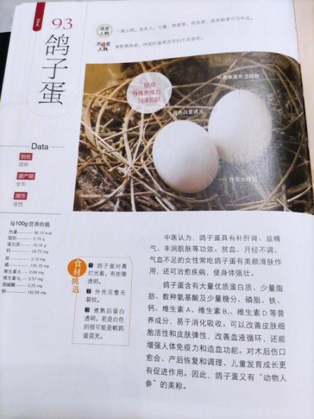 鸽子蛋怎么做好吃_鸽子蛋的营养价值-第1张图片-山城妙识 鸽子蛋怎么做好吃_鸽子蛋的营养价值-第1张图片-山城妙识