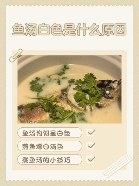 鱼汤怎么煮才白_鱼汤浓白技巧-第3张图片-山城妙识 鱼汤怎么煮才白_鱼汤浓白技巧-第3张图片-山城妙识
