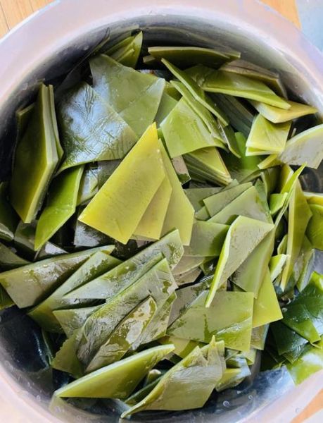 鲜海带怎么做好吃_鲜海带的家常做法窍门-第1张图片-山城妙识 鲜海带怎么做好吃_鲜海带的家常做法窍门-第1张图片-山城妙识