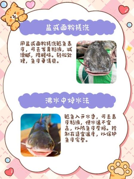 鲶鱼粘液需要处理吗_鲶鱼粘液怎么处理干净-第1张图片-山城妙识 鲶鱼粘液需要处理吗_鲶鱼粘液怎么处理干净-第1张图片-山城妙识