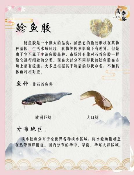 鲶鱼粘液需要处理吗_鲶鱼粘液怎么处理干净-第3张图片-山城妙识 鲶鱼粘液需要处理吗_鲶鱼粘液怎么处理干净-第3张图片-山城妙识