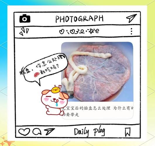 胎盘怎么处理_胎盘可以带回家吗-第1张图片-山城妙识 胎盘怎么处理_胎盘可以带回家吗-第1张图片-山城妙识