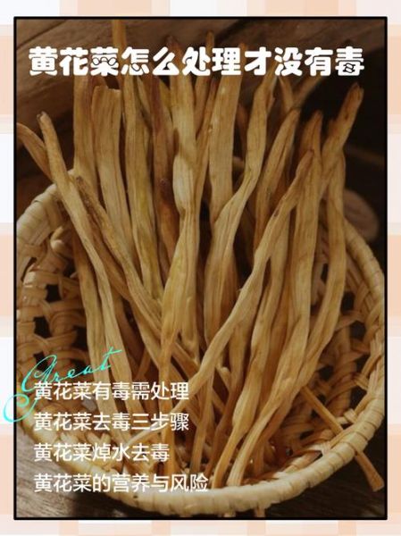 鲜黄花菜含什么毒素_中毒症状有哪些-第3张图片-山城妙识 鲜黄花菜含什么毒素_中毒症状有哪些-第3张图片-山城妙识
