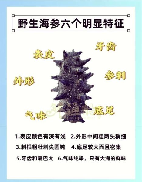 人造海参是什么做的_人造海参和真海参区别-第2张图片-山城妙识 人造海参是什么做的_人造海参和真海参区别-第2张图片-山城妙识