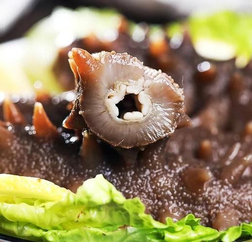 人造海参是什么做的_人造海参和真海参区别-第3张图片-山城妙识 人造海参是什么做的_人造海参和真海参区别-第3张图片-山城妙识