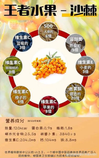 沙棘果有什么功效_沙棘果怎么吃效果最好-第1张图片-山城妙识 沙棘果有什么功效_沙棘果怎么吃效果最好-第1张图片-山城妙识