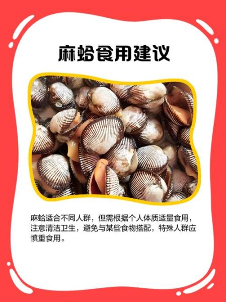 麻蛤都能吃吗_麻蛤食用禁忌-第1张图片-山城妙识 麻蛤都能吃吗_麻蛤食用禁忌-第1张图片-山城妙识