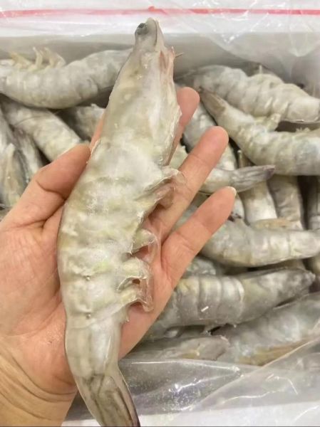 青虾多少钱一斤_青虾价格行情-第3张图片-山城妙识 青虾多少钱一斤_青虾价格行情-第3张图片-山城妙识