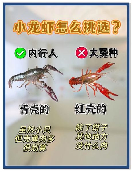 小龙虾过油和过水区别_哪个更嫩-第1张图片-山城妙识 小龙虾过油和过水区别_哪个更嫩-第1张图片-山城妙识