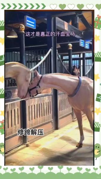 马蹄铁是什么时候发明的_马蹄铁发明时间-第2张图片-山城妙识 马蹄铁是什么时候发明的_马蹄铁发明时间-第2张图片-山城妙识