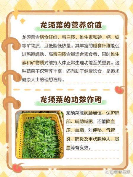 龙须菜有几种图片_龙须菜和石花菜区别-第3张图片-山城妙识
