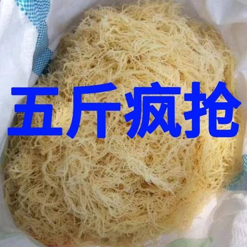 龙须菜有几种图片_龙须菜和石花菜区别-第2张图片-山城妙识