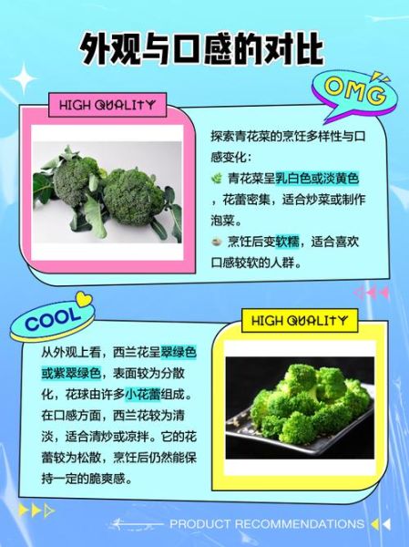 西兰花什么时候种最合适_西兰花种植月份与地区对照表-第3张图片-山城妙识 西兰花什么时候种最合适_西兰花种植月份与地区对照表-第3张图片-山城妙识