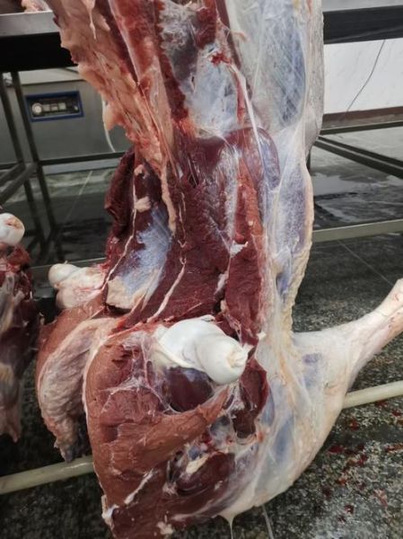 鸵鸟肉多少钱一斤_鸵鸟肉营养价值高吗-第3张图片-山城妙识 鸵鸟肉多少钱一斤_鸵鸟肉营养价值高吗-第3张图片-山城妙识