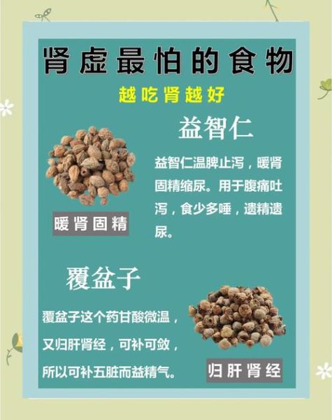 男人吃什么补肾好_肾虚吃什么食物最见效-第1张图片-山城妙识 男人吃什么补肾好_肾虚吃什么食物最见效-第1张图片-山城妙识