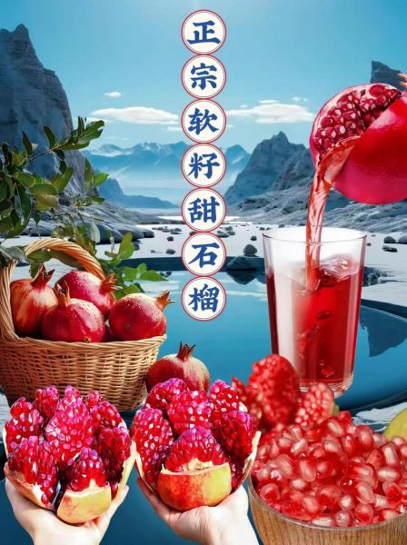 软籽石榴的功效与作用_软籽石榴怎么吃最好-第3张图片-山城妙识 软籽石榴的功效与作用_软籽石榴怎么吃最好-第3张图片-山城妙识