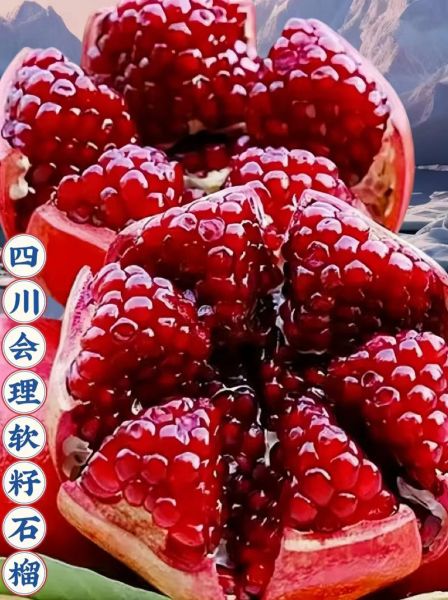 软籽石榴的功效与作用_软籽石榴怎么吃最好-第2张图片-山城妙识 软籽石榴的功效与作用_软籽石榴怎么吃最好-第2张图片-山城妙识