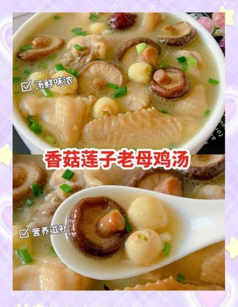 香菇党参炖鸡汤怎么做_炖多久最营养-第3张图片-山城妙识 香菇党参炖鸡汤怎么做_炖多久最营养-第3张图片-山城妙识