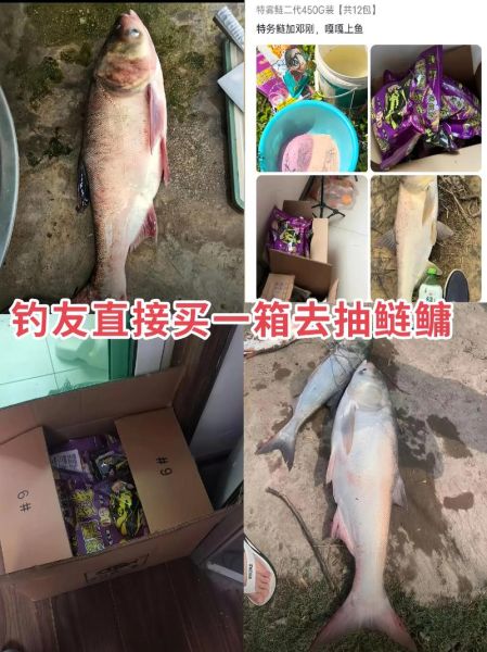 鲢鱼读音怎么读_鲢鱼是鲤鱼吗-第2张图片-山城妙识 鲢鱼读音怎么读_鲢鱼是鲤鱼吗-第2张图片-山城妙识