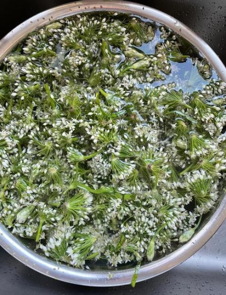 韭菜酱怎么保存_韭菜酱的做法大全家常-第1张图片-山城妙识 韭菜酱怎么保存_韭菜酱的做法大全家常-第1张图片-山城妙识