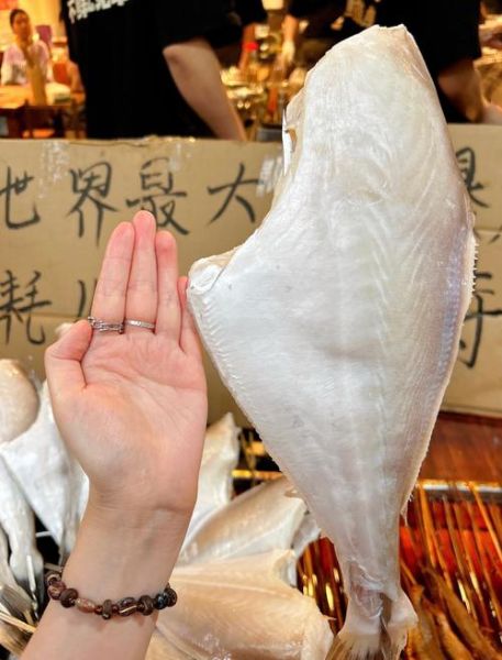 耗儿鱼是海鲜吗_耗儿鱼属于什么鱼类-第1张图片-山城妙识 耗儿鱼是海鲜吗_耗儿鱼属于什么鱼类-第1张图片-山城妙识