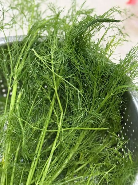 茴香苗猪肉馅怎么调_茴香苗猪肉馅的正宗做法-第3张图片-山城妙识 茴香苗猪肉馅怎么调_茴香苗猪肉馅的正宗做法-第3张图片-山城妙识