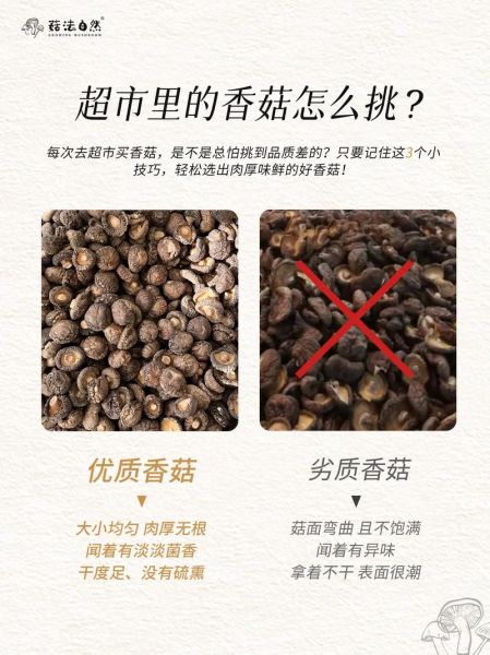 香菇怎么挑选_干香菇和鲜香菇的区别-第2张图片-山城妙识 香菇怎么挑选_干香菇和鲜香菇的区别-第2张图片-山城妙识