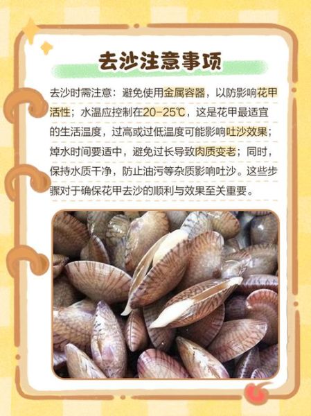 花甲怎么去沙子_花甲吐沙最快方法-第2张图片-山城妙识 花甲怎么去沙子_花甲吐沙最快方法-第2张图片-山城妙识