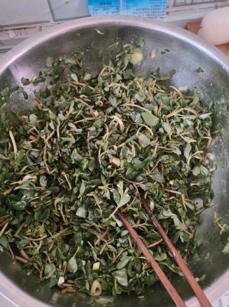 马蜂菜的功效与作用_马蜂菜怎么吃最好-第3张图片-山城妙识 马蜂菜的功效与作用_马蜂菜怎么吃最好-第3张图片-山城妙识