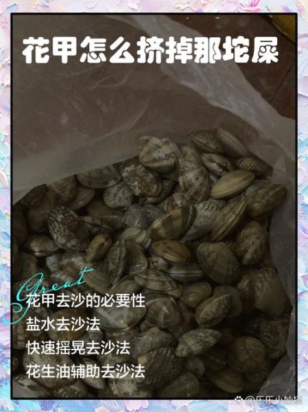 花甲怎么去沙子_花甲吐沙最快方法-第1张图片-山城妙识 花甲怎么去沙子_花甲吐沙最快方法-第1张图片-山城妙识