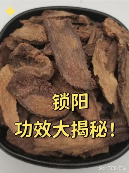 锁阳的功效与作用有哪些_锁阳主治什么病-第2张图片-山城妙识 锁阳的功效与作用有哪些_锁阳主治什么病-第2张图片-山城妙识