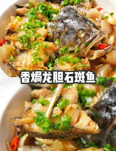 龙胆鱼和石斑鱼的区别_龙胆鱼是不是石斑鱼-第3张图片-山城妙识