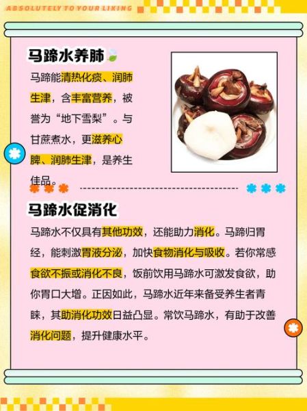 马蹄水怎么做_马蹄水有什么功效-第1张图片-山城妙识 马蹄水怎么做_马蹄水有什么功效-第1张图片-山城妙识