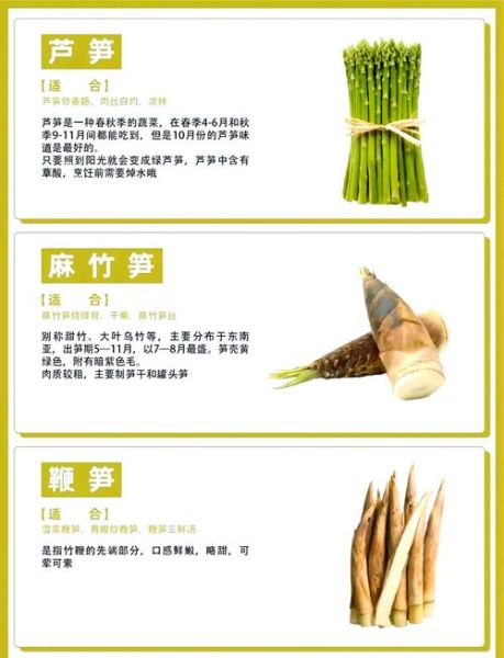 竹笋的功效与作用_竹笋的禁忌人群有哪些-第3张图片-山城妙识 竹笋的功效与作用_竹笋的禁忌人群有哪些-第3张图片-山城妙识