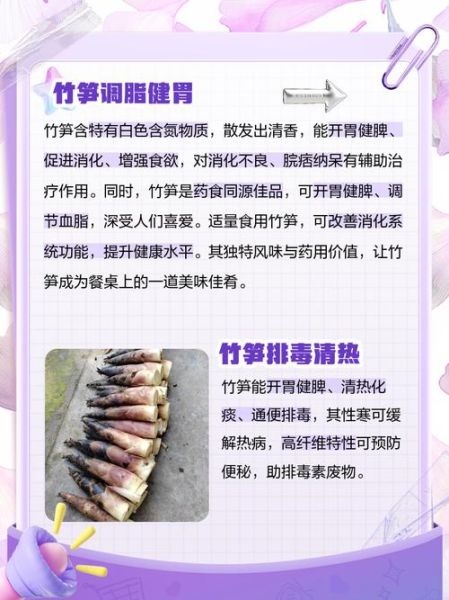 竹笋的功效与作用_竹笋的禁忌人群有哪些-第1张图片-山城妙识 竹笋的功效与作用_竹笋的禁忌人群有哪些-第1张图片-山城妙识