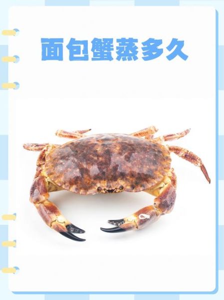 螃蟹怎么蒸_蒸多久才熟-第3张图片-山城妙识 螃蟹怎么蒸_蒸多久才熟-第3张图片-山城妙识