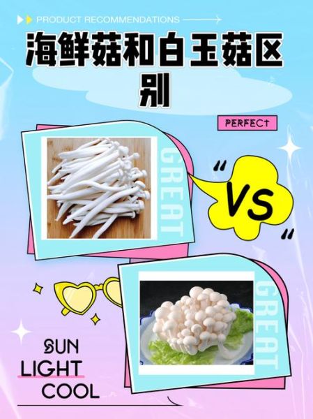 海鲜菇和白玉菇一样吗_区别与选购指南-第1张图片-山城妙识