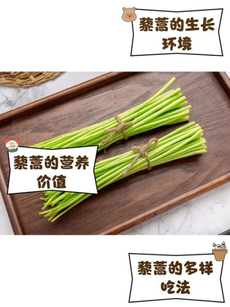 芦蒿的功效与作用_芦蒿怎么吃最养生-第2张图片-山城妙识