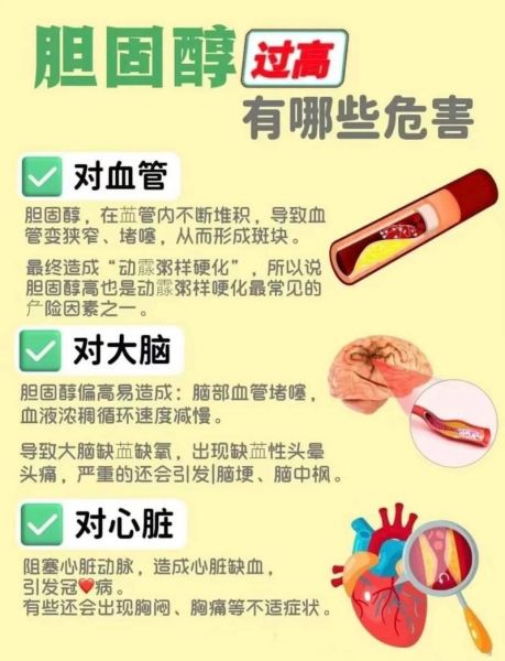 血脂稠的症状有哪些_血脂稠的危害是什么-第1张图片-山城妙识 血脂稠的症状有哪些_血脂稠的危害是什么-第1张图片-山城妙识